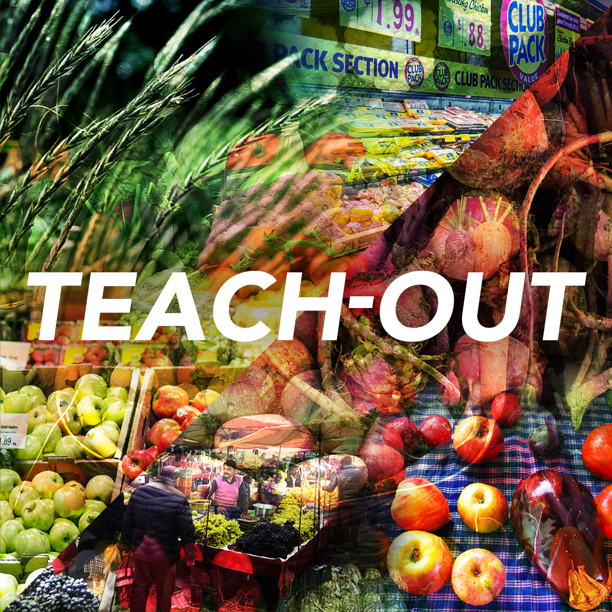 Sustainable Food Teach-Out – Center for Academic Innovation