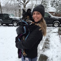 Showcase Brings People Together to Celebrate Accomplishments of Student ...